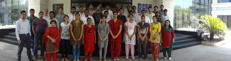 Let the festivities begin! - Novatech Software Pvt Ltd